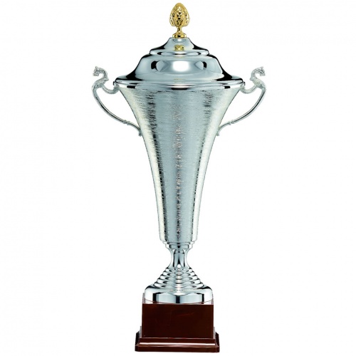 Tapered Brushed Silver Trophy 1355 - Awards Trophies Supplier