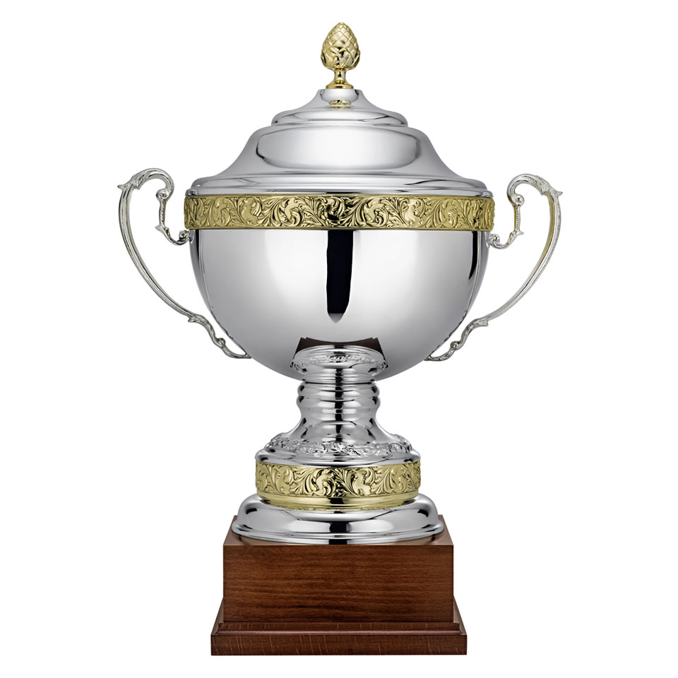 Silver & Gold Trophy Bowl with Lid 1576 - Awards Trophies Supplier