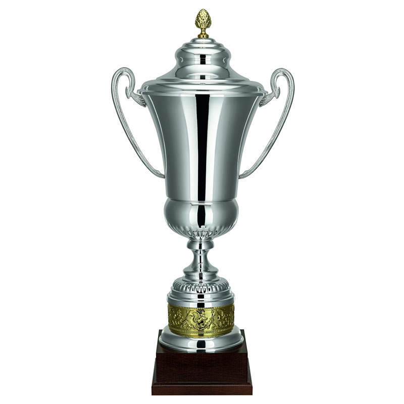 Large Silver Trophy with Gold Plated Detail - Awards Trophies Supplier