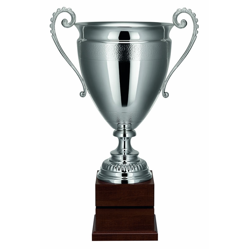 Silver Two-Handled Trophy Cup - Awards Trophies Supplier