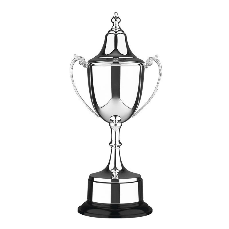 Silver Trophy 486 - Awards Trophies Supplier