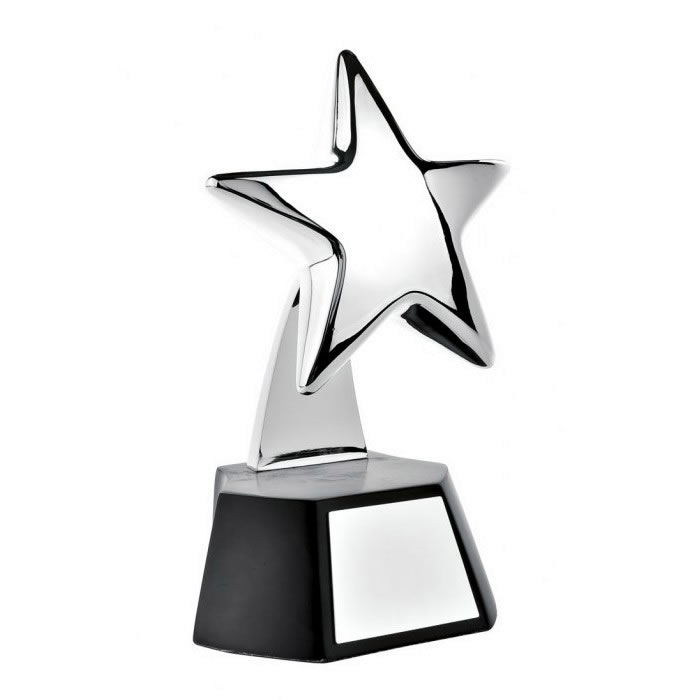 Silver Star Award on Black Base, with Presentation Box - Awards ...