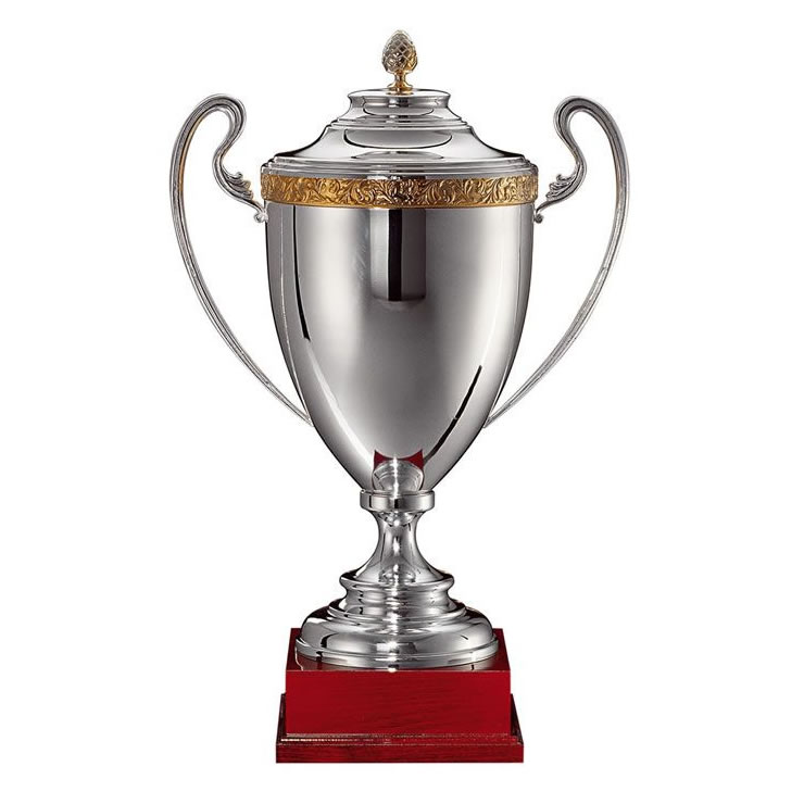 17in Large Silver Trophy Cup with Gold Plated Decoration - Awards ...