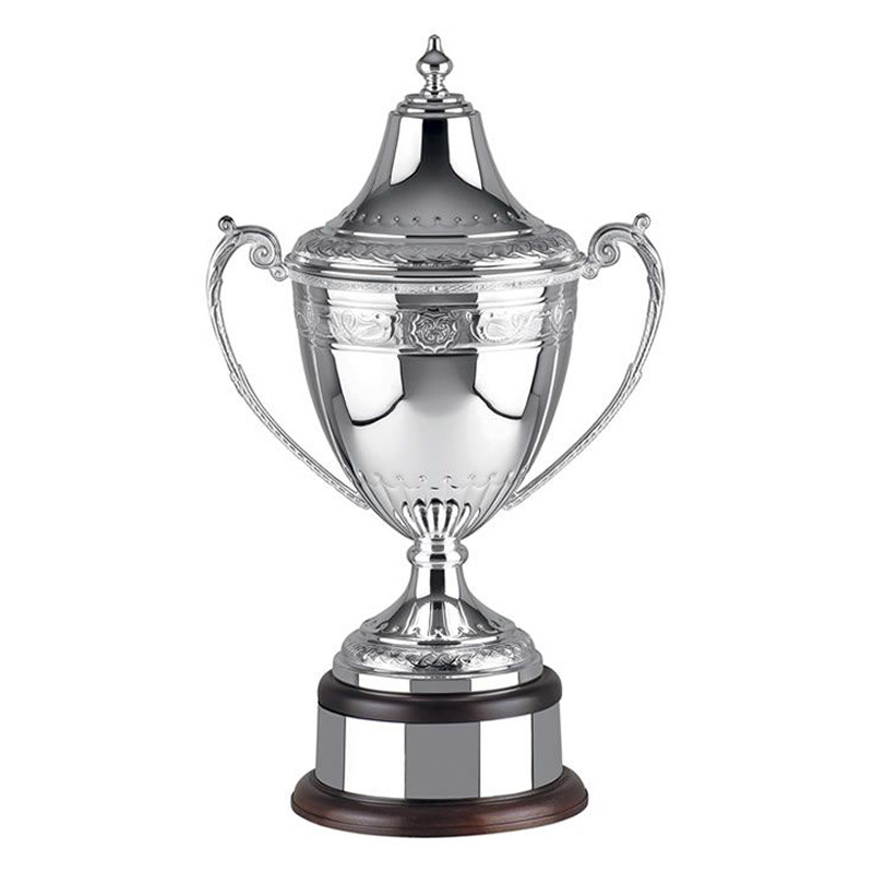 The Ultimate Celtic Cup - Prestige Silver Trophy with Celtic Design ...