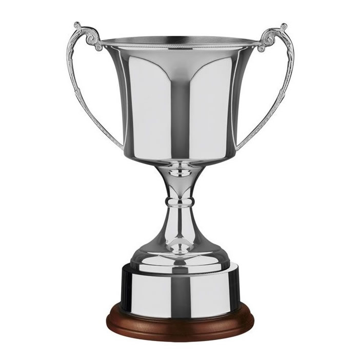 Nickel Plated Trophy SNW07 - Awards Trophies Supplier