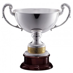 780mm Large Silver Trophy with Gold Plated Detail - Awards Trophies ...
