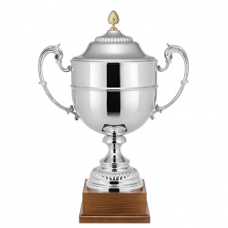 Large Silver Trophies - Awards Trophies Supplier