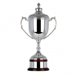 Premium Silver Trophies - Awards Trophies Supplier