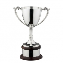 Premium Silver Trophies - Awards Trophies Supplier