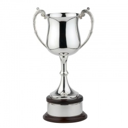 Premium Silver Trophies - Awards Trophies Supplier
